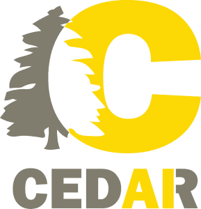 Cedar AI - Status